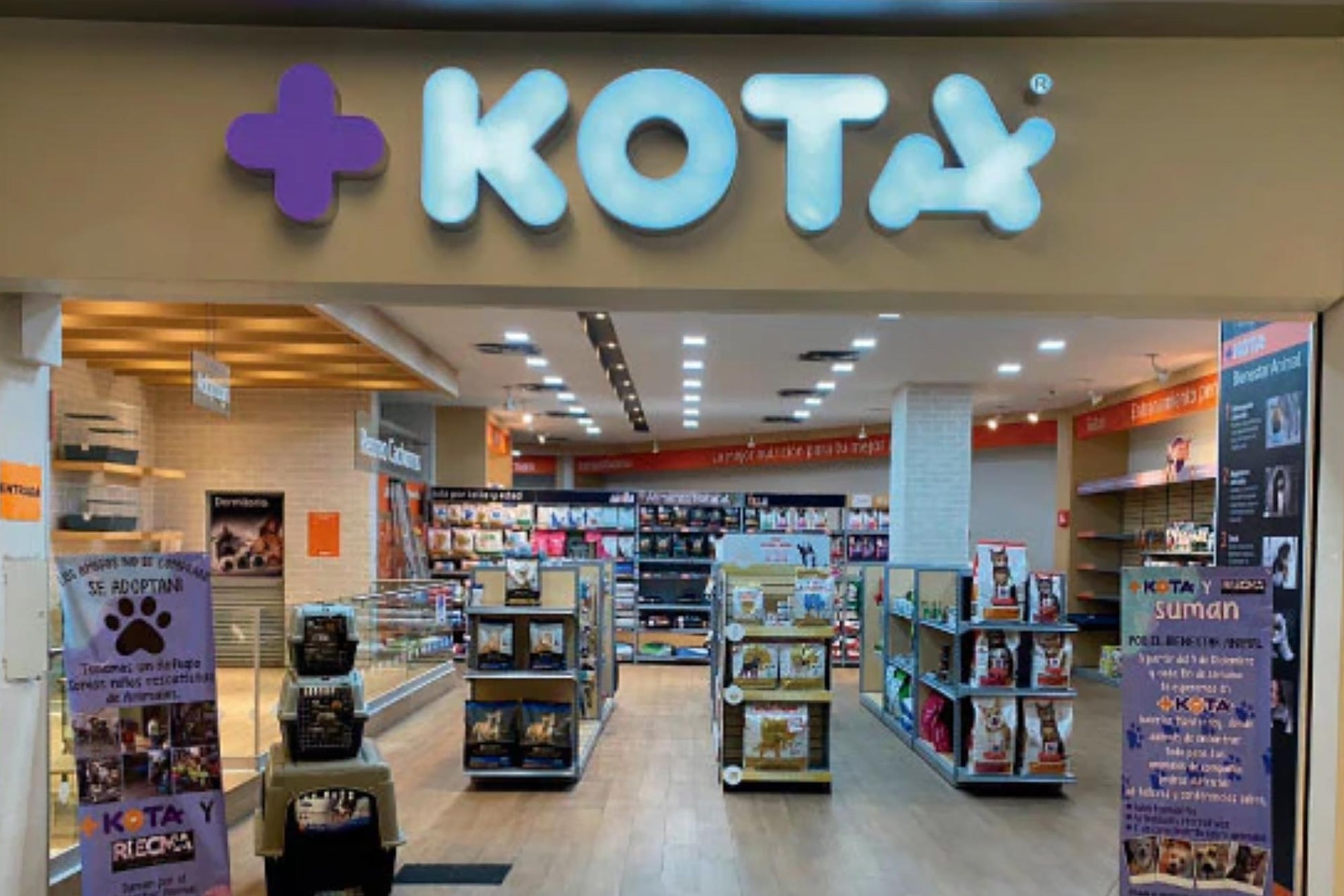 +Kota, alguna vez una historia de éxito, se declara en quiebra tras no ...